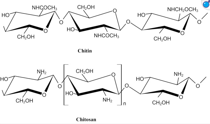 Chitosan Vs. Chitooligosaccharides (COS)